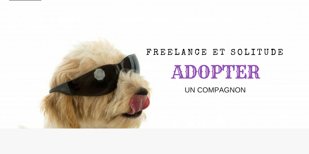 freelance-et-solitude-adopter-un-compagnon